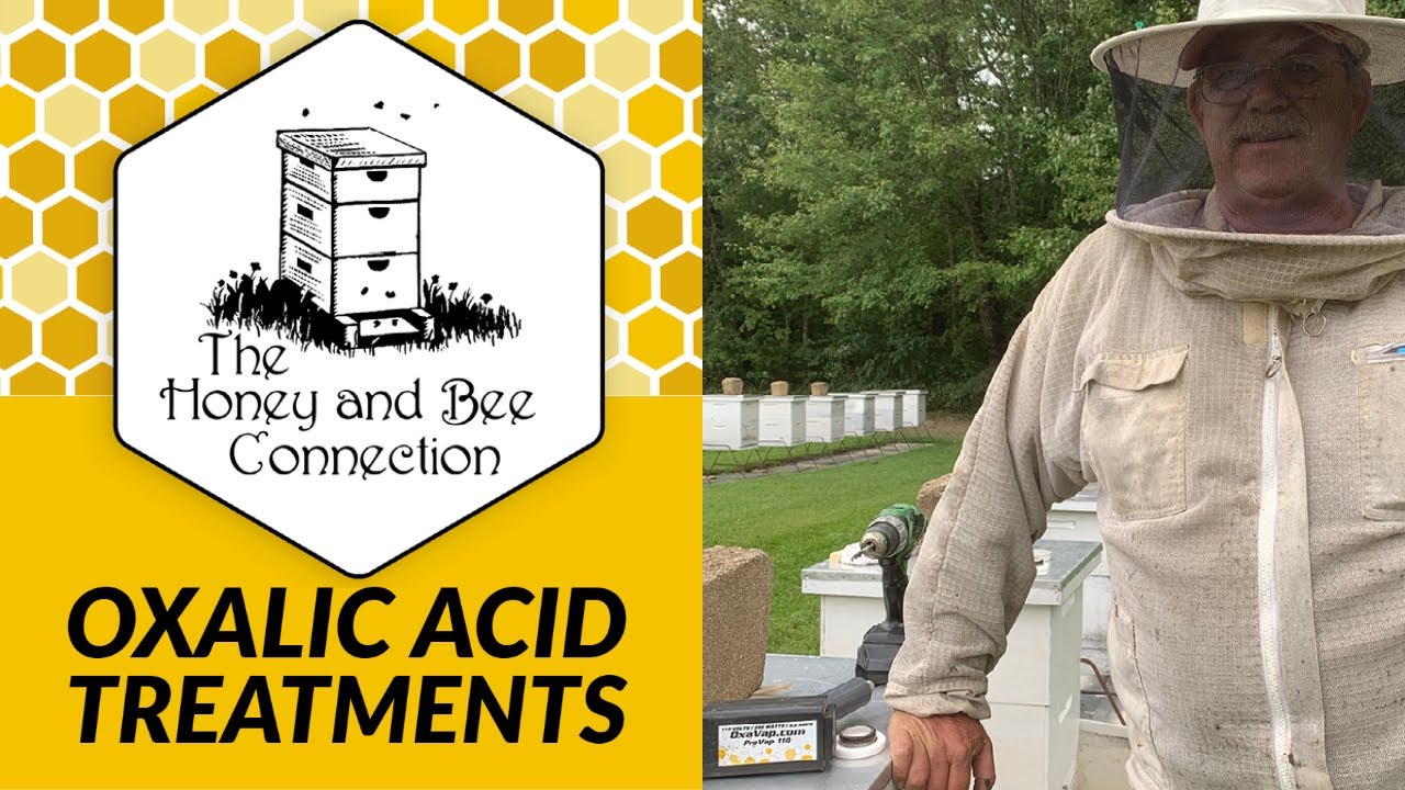 Beekeepers Guide to Oxalic Acid | The Honey and Bee Connection - YouTube