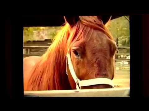William S Hart Ranch - 1980's visit from VHS camera - YouTube