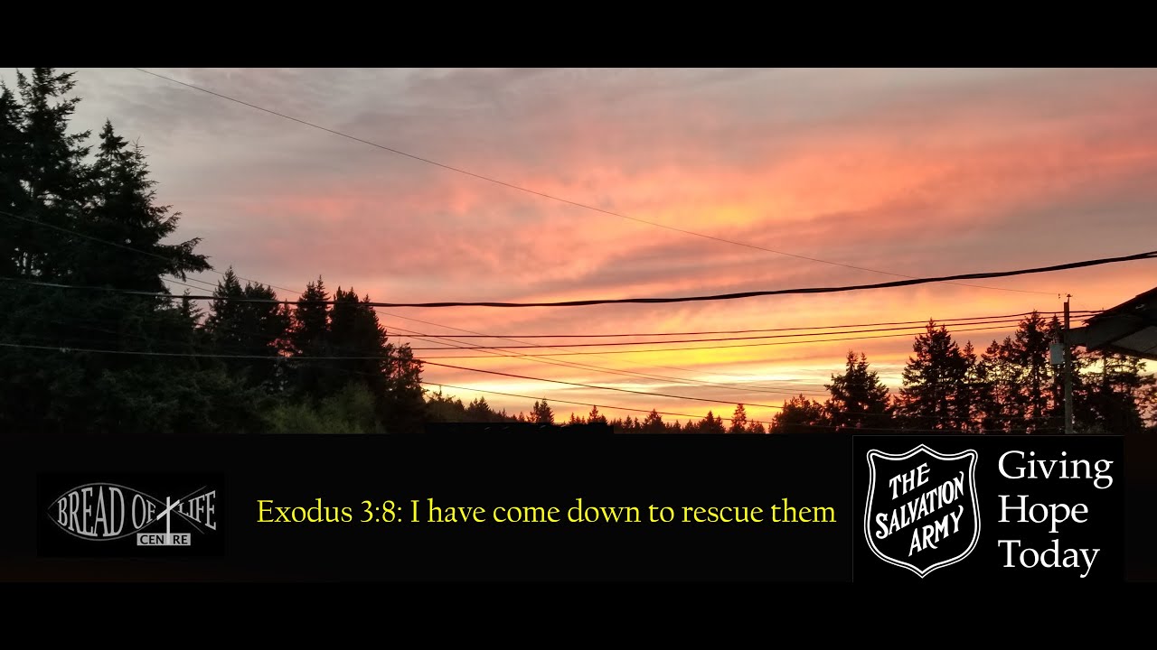Exodus 3:8: I Have Come Down to Rescue Them - YouTube