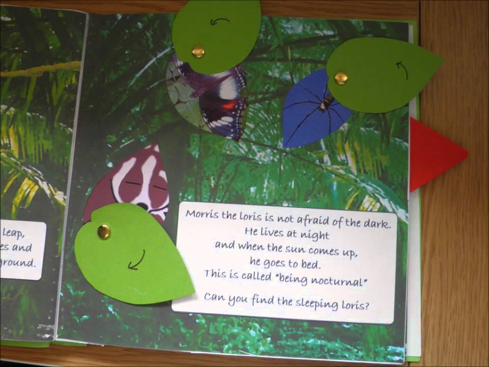Morris the slow loris (book) - YouTube