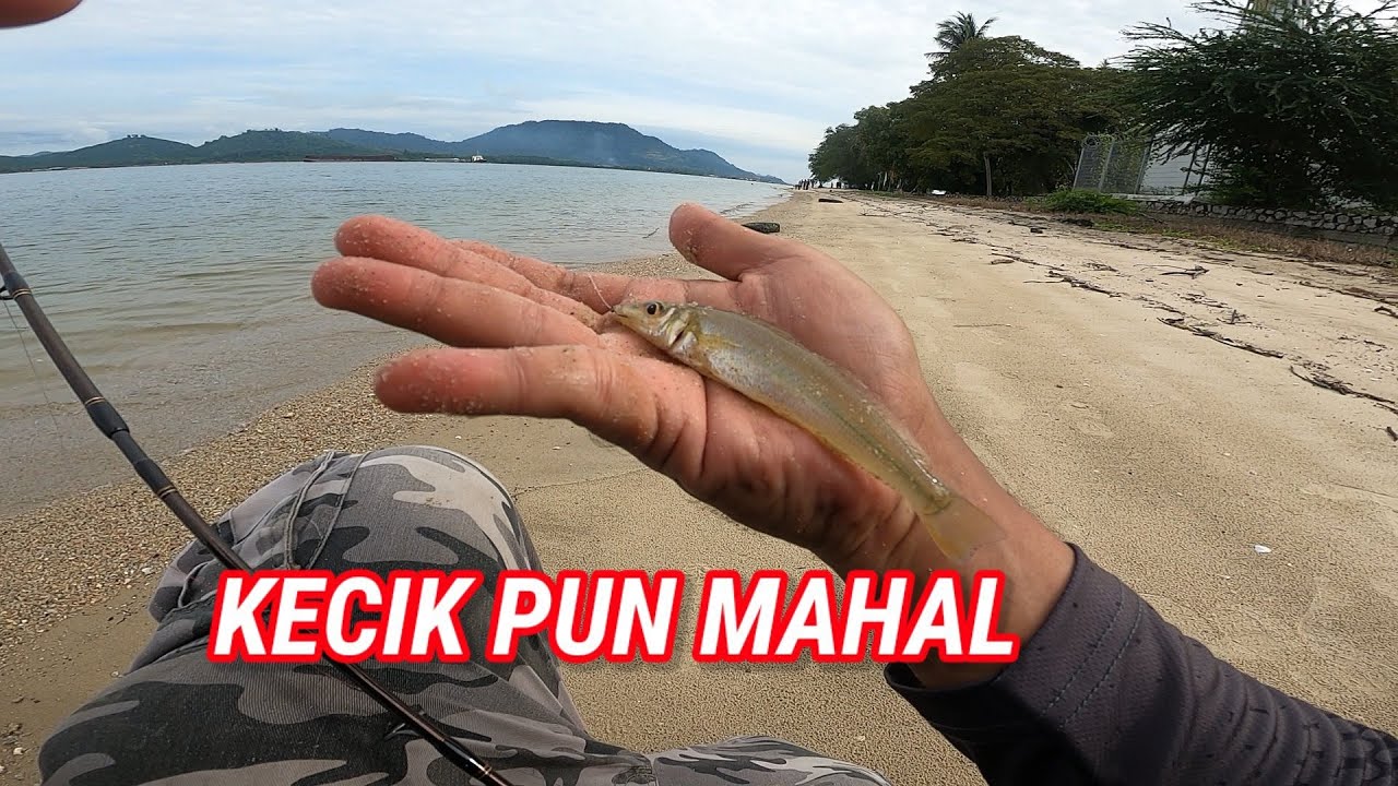 Santai Mancing Ikan Bulus | Spot The Orient Star Resort, Lumut | Vlog77 ...