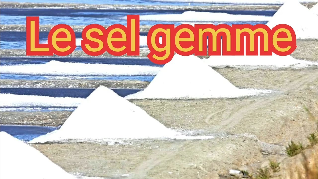 Une roche sédimentaire :le sel gemme. - YouTube