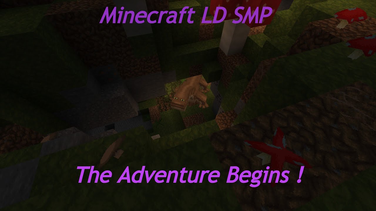 Minecraft LD SMP Part 1 - The Adventure Begins ! - YouTube
