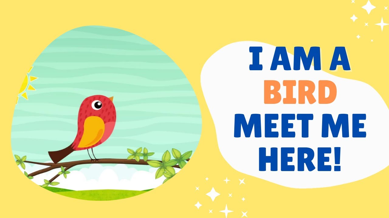 I AM A BIRD MEET ME HERE || Know More About Birds || - YouTube