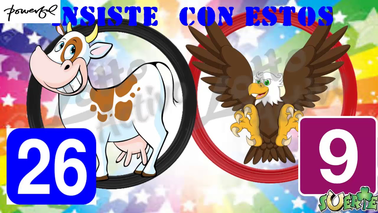 LOTTO ACTIVO DATOS GRATIS SUPER FIJOS PARA JUGAR A LOS ANIMALITOS HOY ...