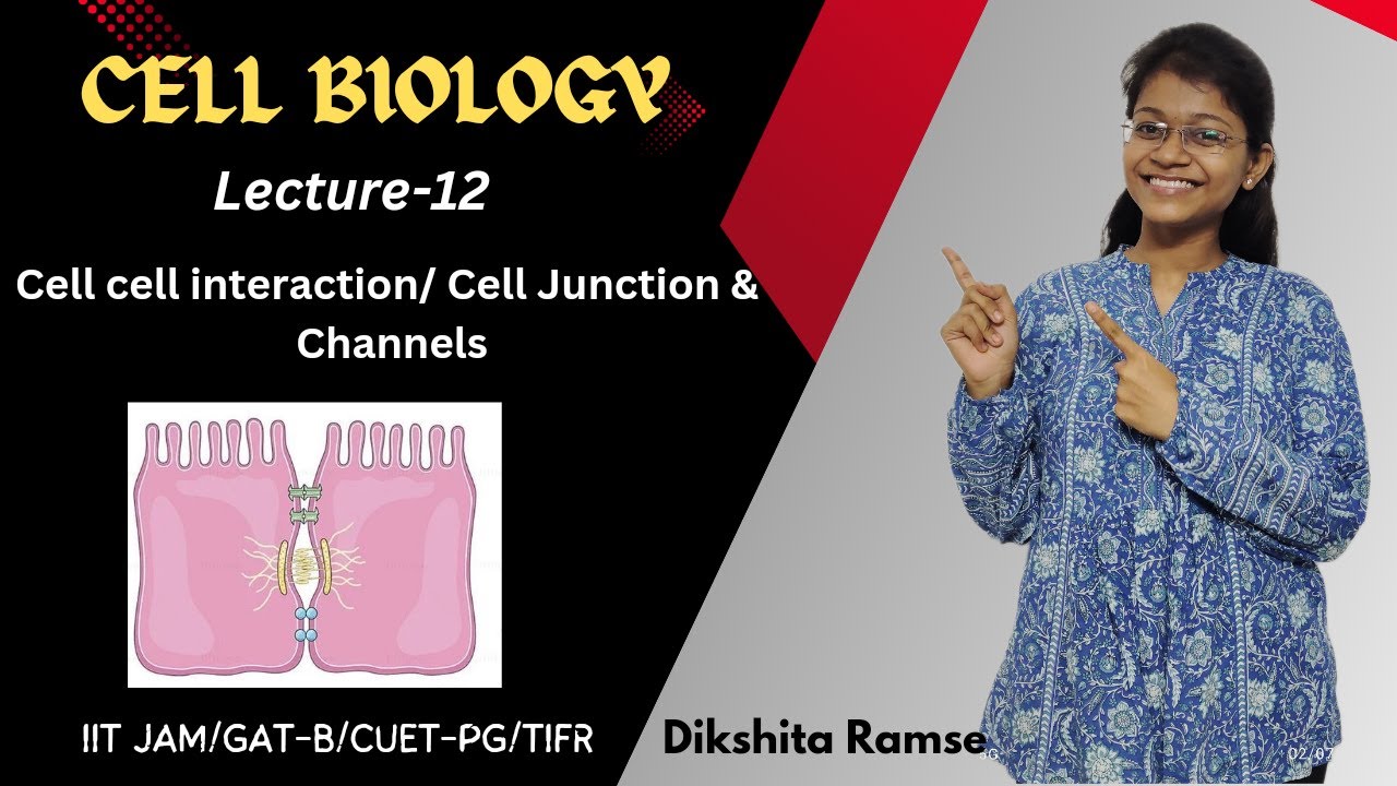 Cell Biology 12 | Cell Cell Interaction or Cell Junctions | IIT JAM ...