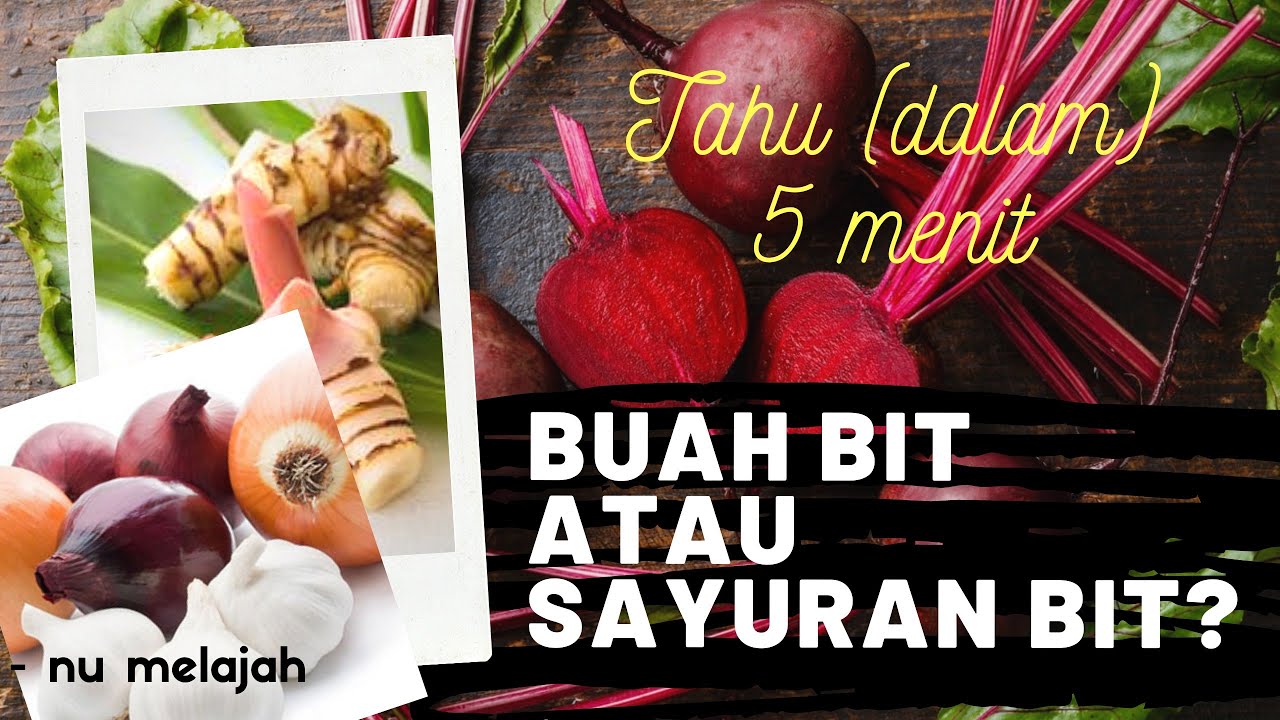 BIT itu Buah Bit apa Sayuran Bit yaa? Cari tahu (dalam) 5 menit yuks ...