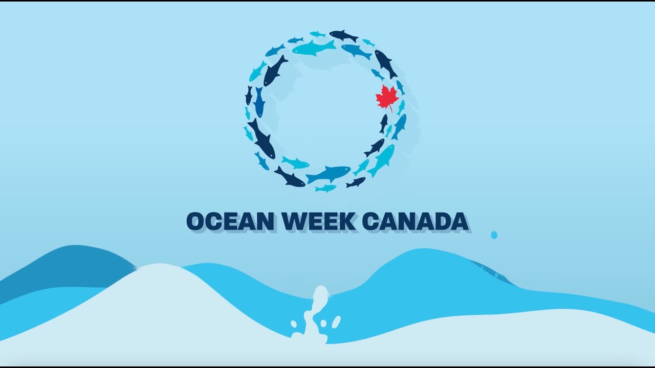 Ocean Week Canada 2023 wrap up - YouTube