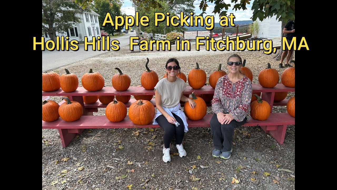 Apple Picking at Hollis Hills Farm in Fitchburg, MA #applepicking # ...