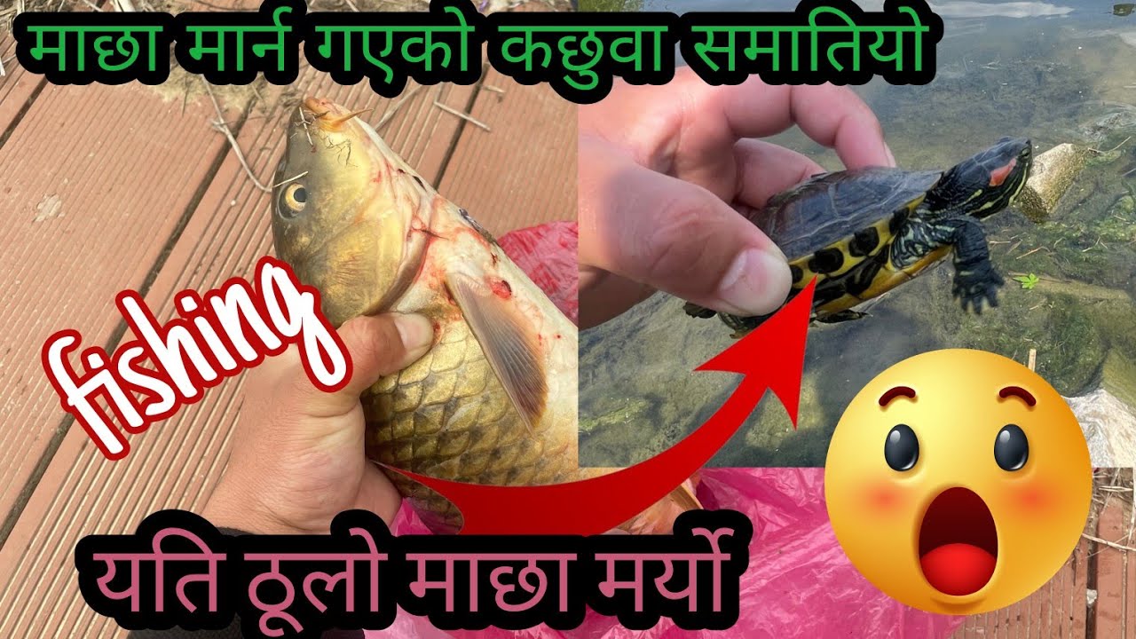 Machha Marna Gako kachhuwa Pani Samatiyo@bishalgmofficial1983 - YouTube