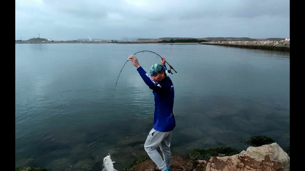 Nice catch Friday morning fishing | Ultralight game | SanaAll Angler 🎣 ...