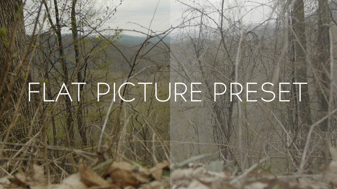 Free Flat Picture Preset - Adobe After Effects - YouTube