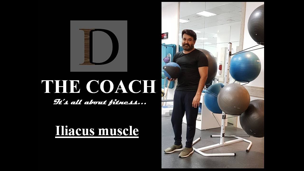 Iliacus muscle origin insertion and action - YouTube