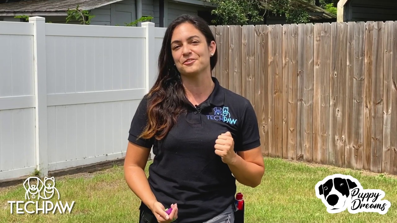 Heather Fox, Positive Reinforcement Dog Trainer -Woof Wednesday Episode ...