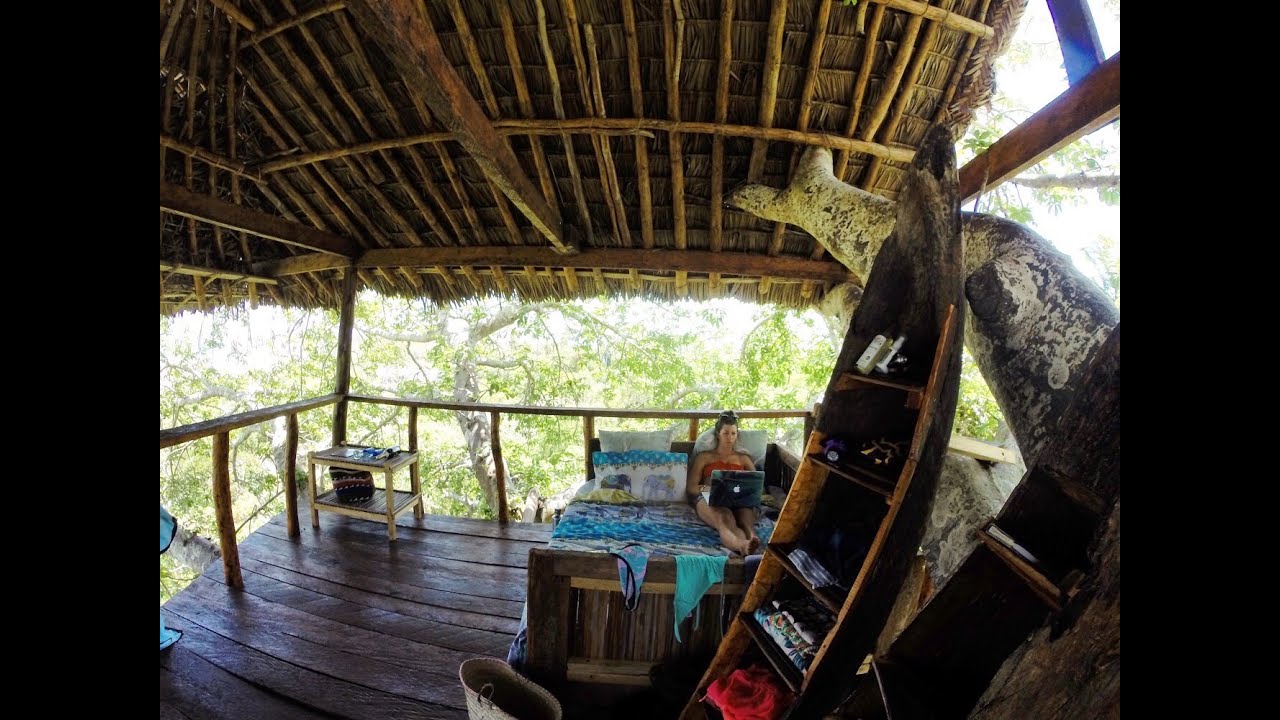 Tree House in a Baobab Tree overlooking the Indian Ocean - YouTube