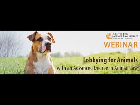 Lobbying for Animals with an Advanced Degree in Animal Law - YouTube