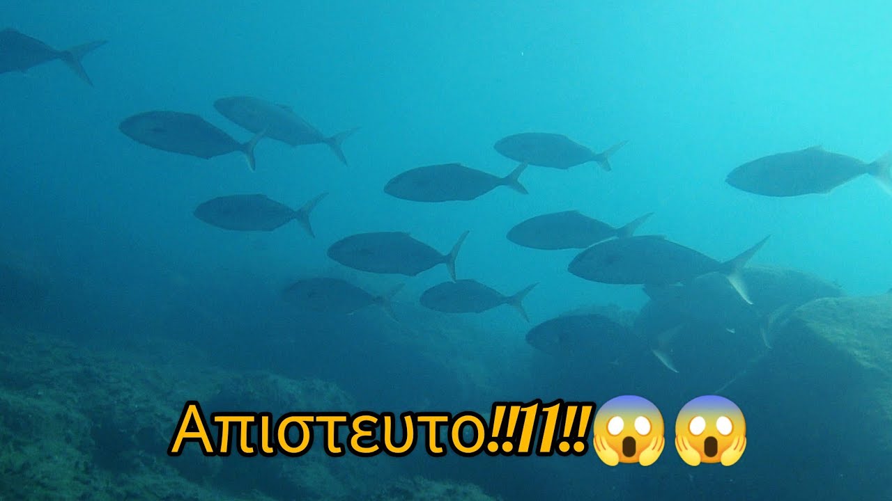 ΑΠΙΣΤΕΥΤΟ!11!!!!😱😱😱ΜΠΗΚΑ ΣΤΗ ΘΑΛΑΣΣΑ και βράχηκα... - YouTube