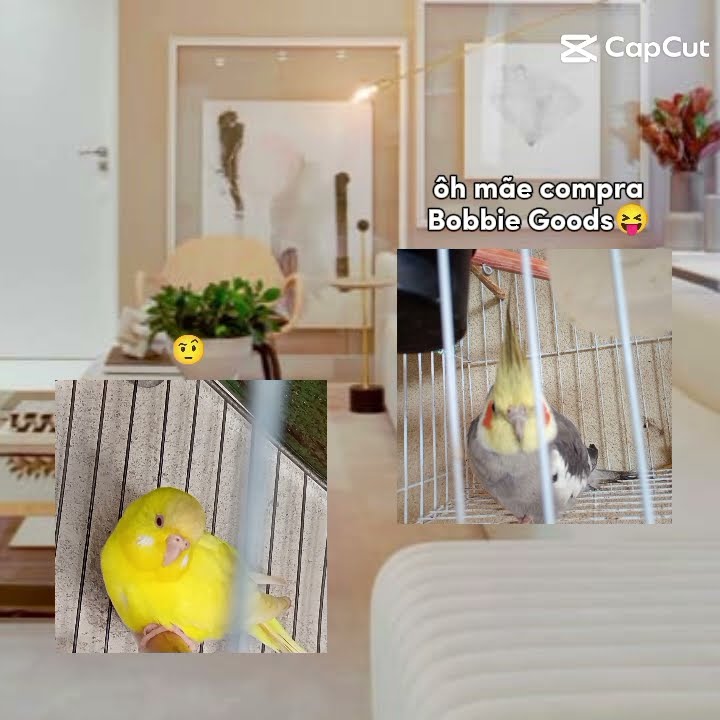 sério esses memes já tá ficando chato 😂 #memes - YouTube