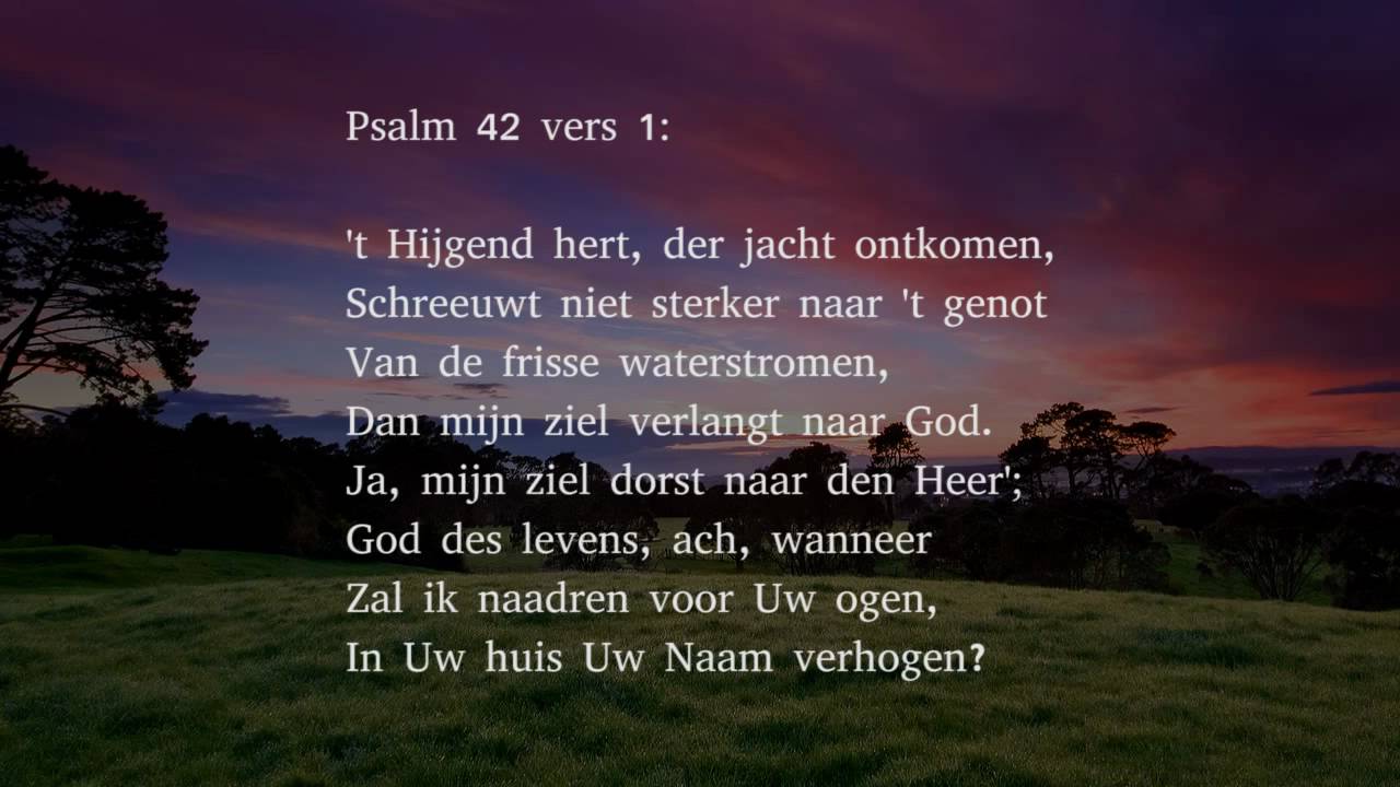 Psalm 42 Vers 1 3 En 5 t Hijgend Hert Der Jacht Ontkomen YouTube