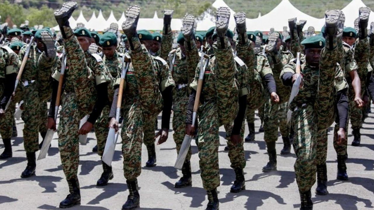 LIVE: PRESIDENT RUTO PRESIDES OVER NYS PASS OUT PARADE, GILGIL LIVE ...