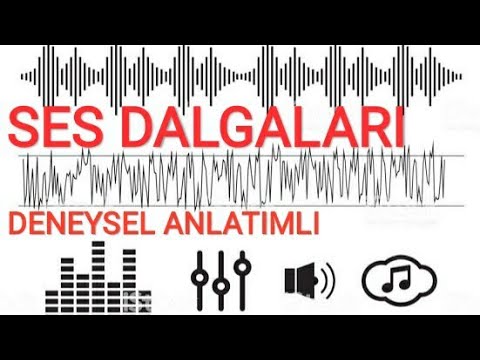 Saz Örneği Üzerinden Ses Dalgaları Konusu / Sesin Frekansı, Genligi, Ses şiddeti, Sesin Yayılma Hızı