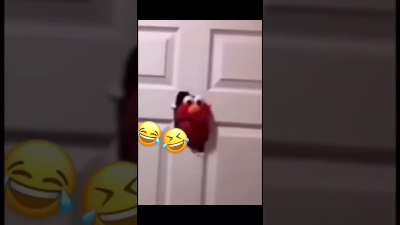 Elmo on crack - YouTube