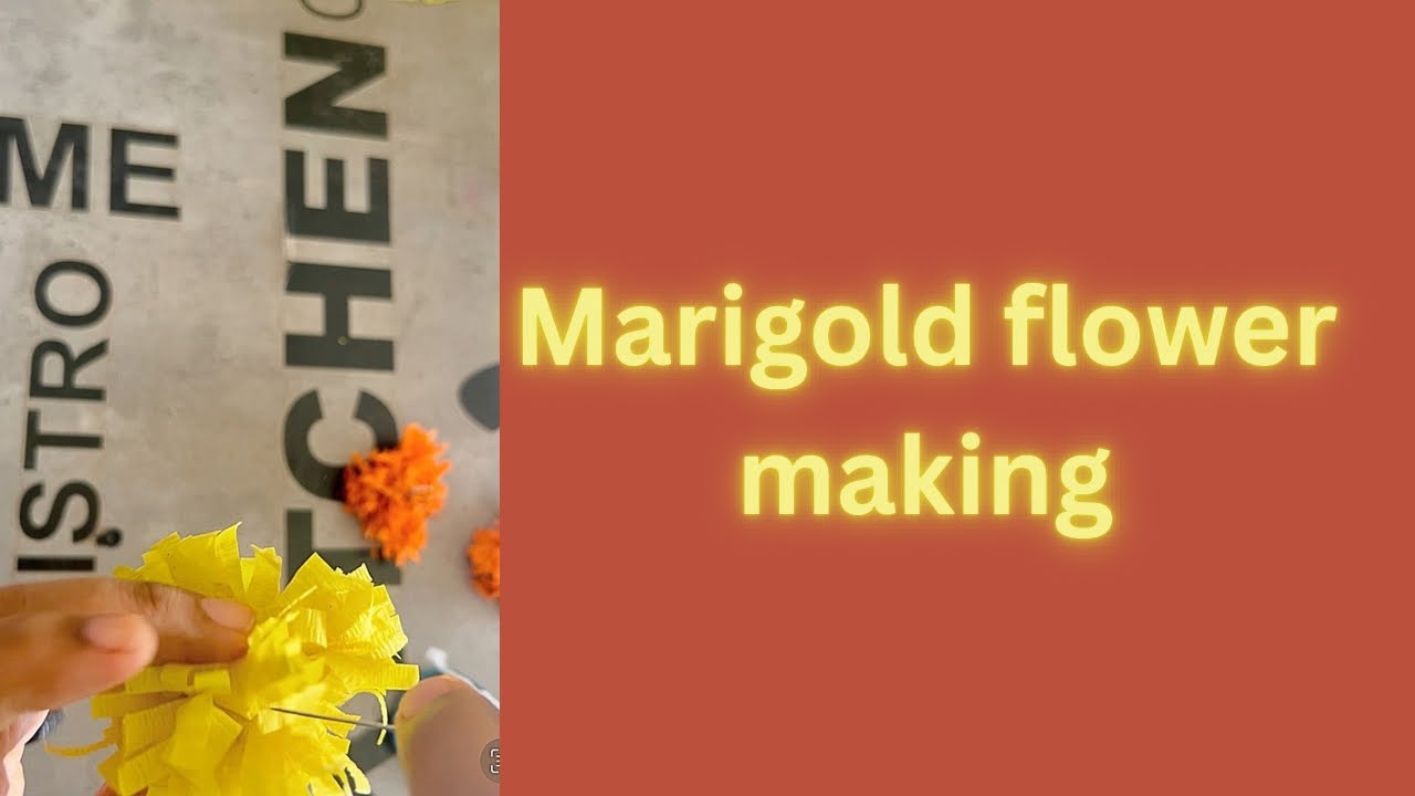 Marigold flower making _ DIY flower making Series 🌼 - YouTube