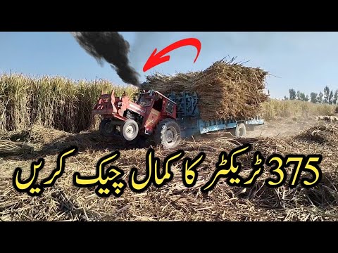 powerful tractor Messi 375 amazing performance load trolley with heavy ...
