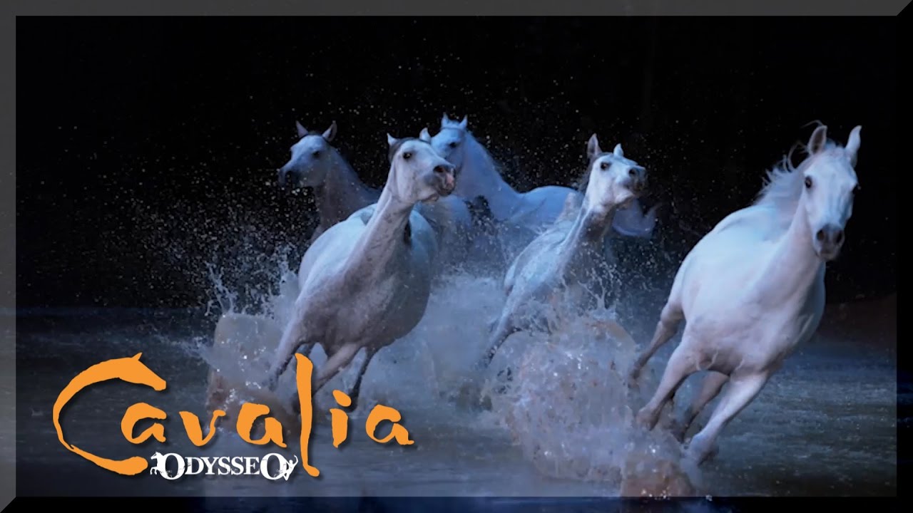 Cavalia 공연 : 말과 인간의 멋진 교감 - YouTube