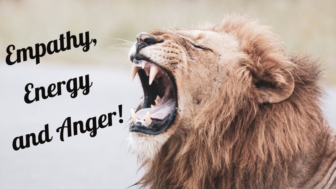 The Grounded Empath Empathy Energy And Anger Youtube