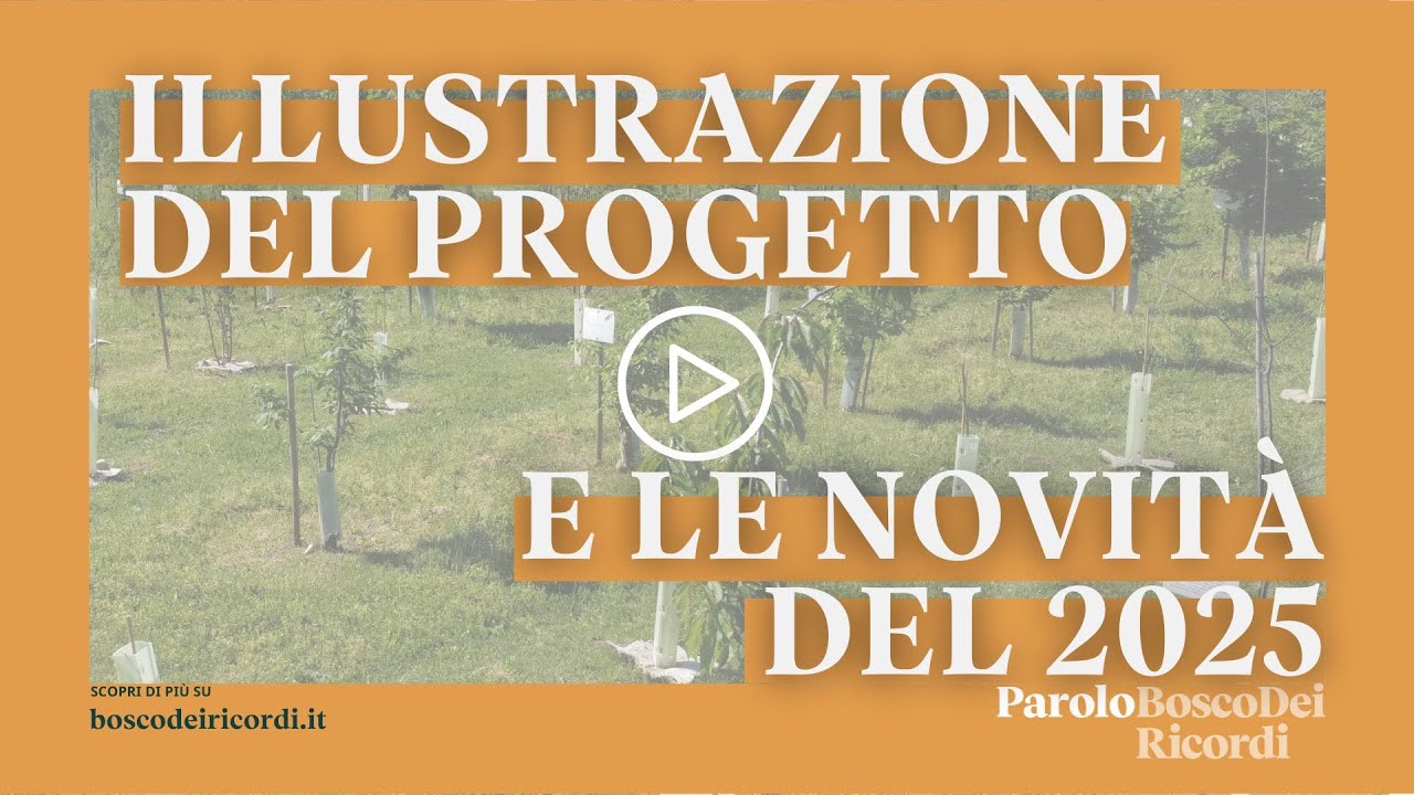 Il Bosco dei Ricordi - Il progetto e le novità 🌟 - YouTube