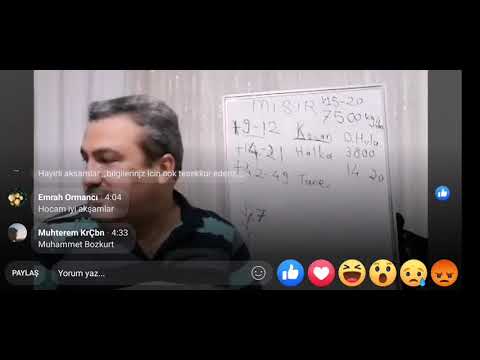 Mısır yetiştiriciliğinde besleme ve etkilendiği kritik  noktalar