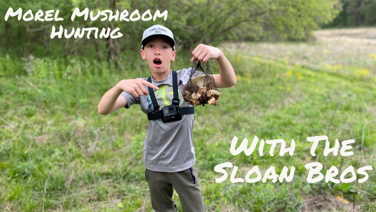 Morel Mushroom Hunting Catch and Cook With Sloan Bros Adventures - YouTube