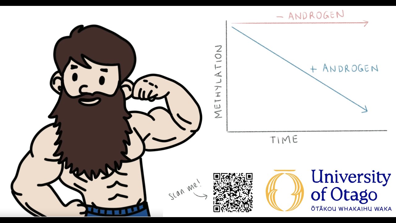 Predicting ‘male-time’ with the Androgen Clock - YouTube