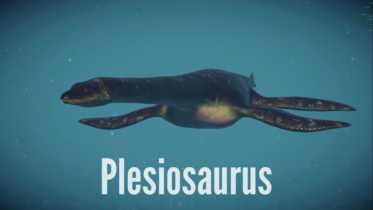Dino Files 55: Plesiosaurus - YouTube