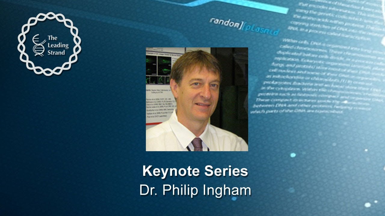 CSHL Keynote: Dr. Philip Ingham, Institute of Molecular and Cell ...