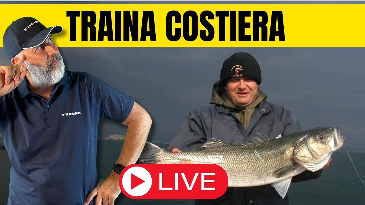 TRAINA COSTIERA LIVE (registrazione) - YouTube