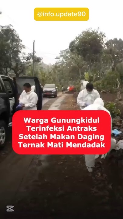 warga gunungkidul diduga terinfeksi antraks setelah makan daging ternak m4ti mendadak #trending ...