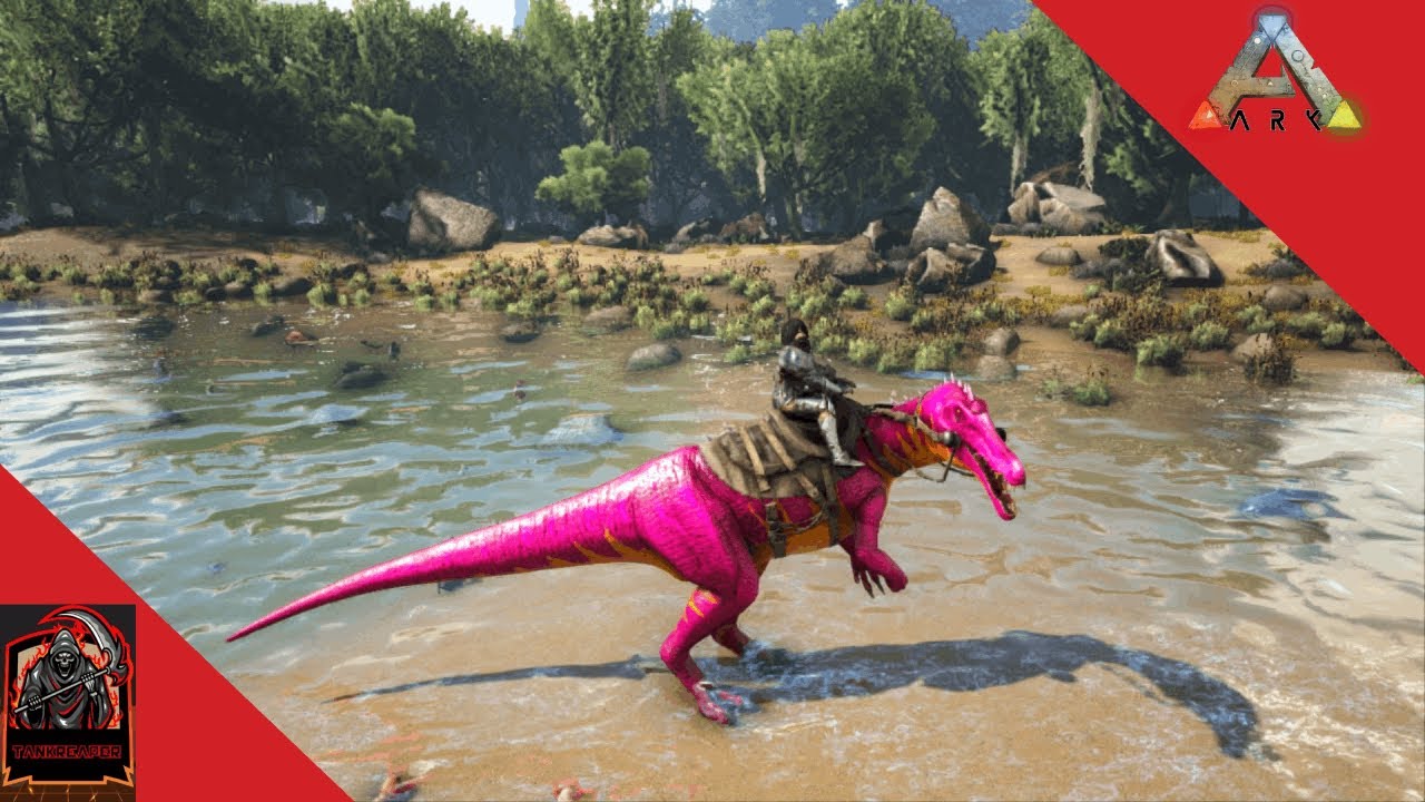 I got something to go in water and on land ARK #15 - YouTube