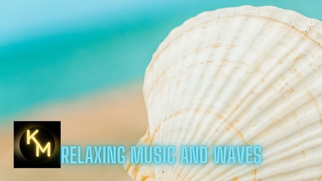 🌴🎶TROPICAL TUESDAY! Seashell Whispers: Coastal Treasures to the ...