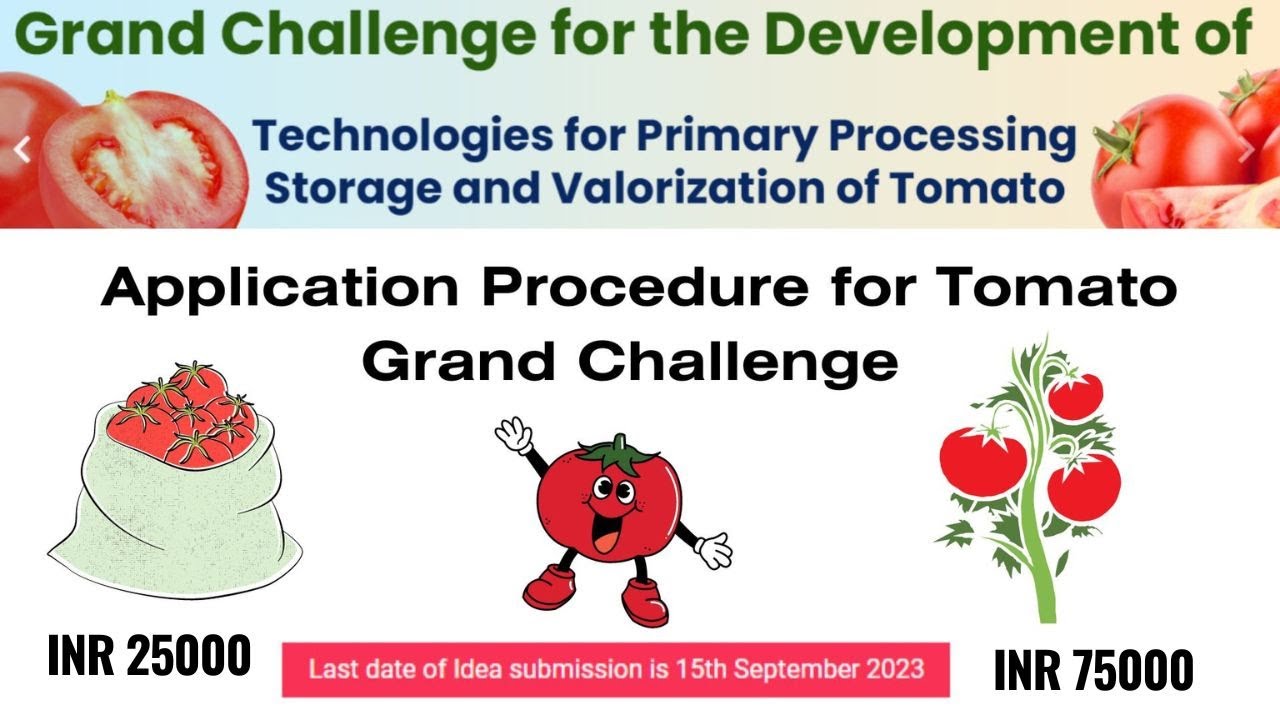 Tomato Grand Challenge 2023 🍅 7 Step Application Procedure - YouTube