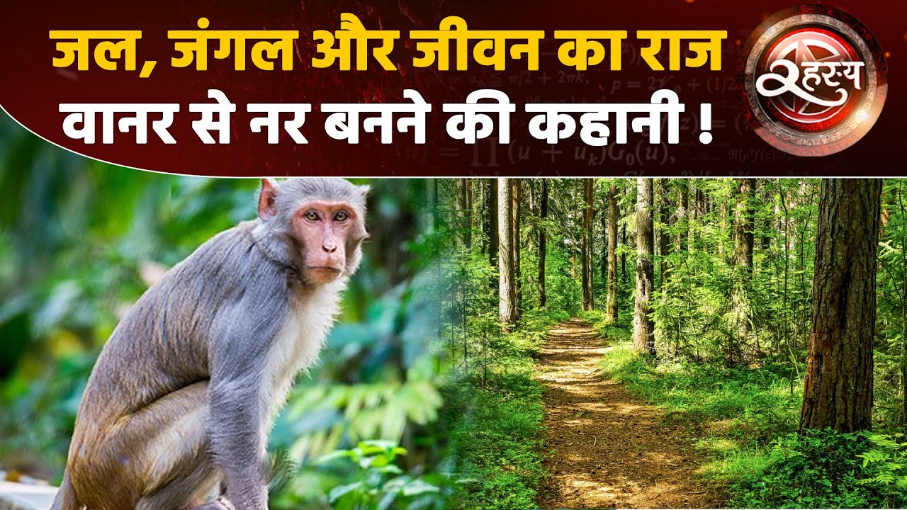Rahasya Mysterious World : जल, जंगल और जीवन का राज | वानर से नर बनने की ...