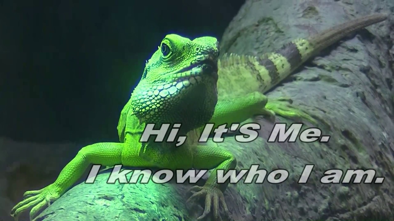 I am One. We are One! Lizard Reptile Poem - YouTube