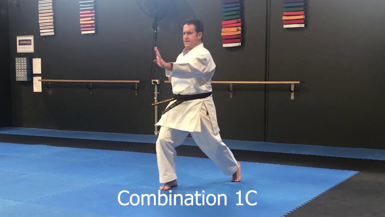 Shitoryu Shukokai Karate Combinations 1- 5C - YouTube