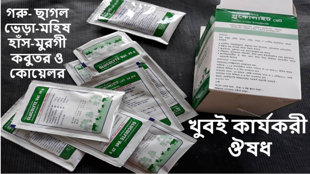 গবাদিপশু | হাঁস, মুরগী, কবুতর, ও কোয়েলর সুস্থ রাখতে মহা কার্যকরী ঔষধ ...