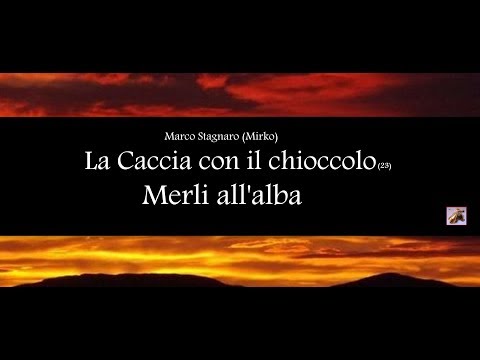 Marco Stagnaro (Mirko)-La caccia con il chioccolo (V.n.33)