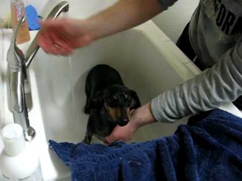 Captured On Tape! Washing My Weiner - YouTube