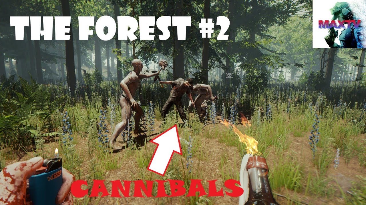 The Forest #2 | Killing Cannibals | Funny VR Moments - YouTube