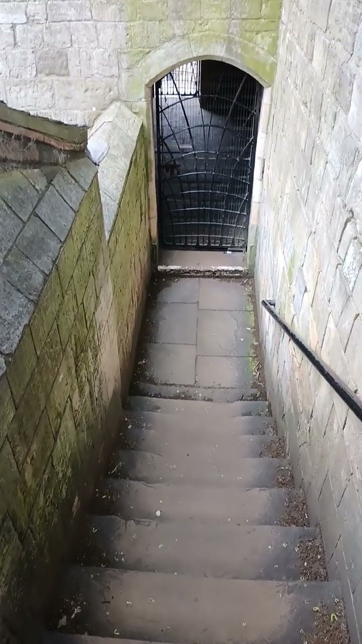 Dinner dude strolled in York on his day off from school with the ...