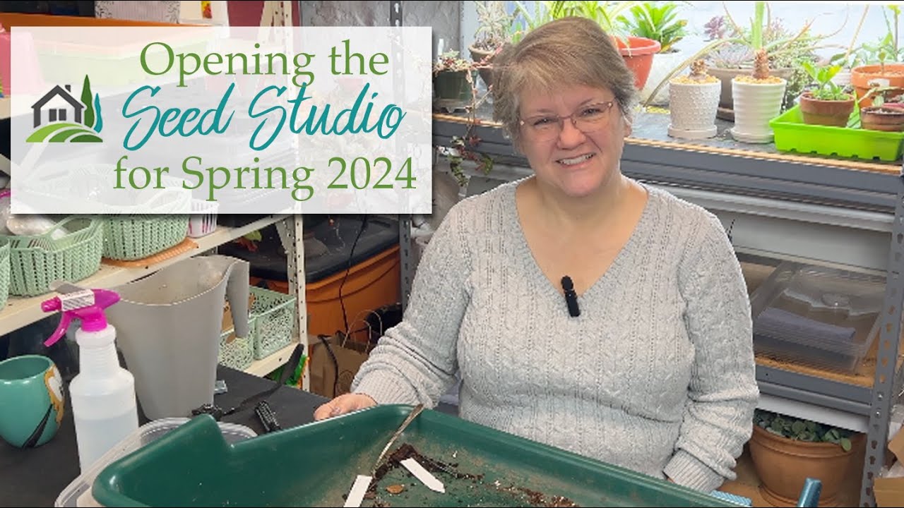 Opening the Seed Starting Studio PLUS Transplanting Cactus Seedlings ...